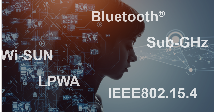 Wireless LSI | LAPIS Technology